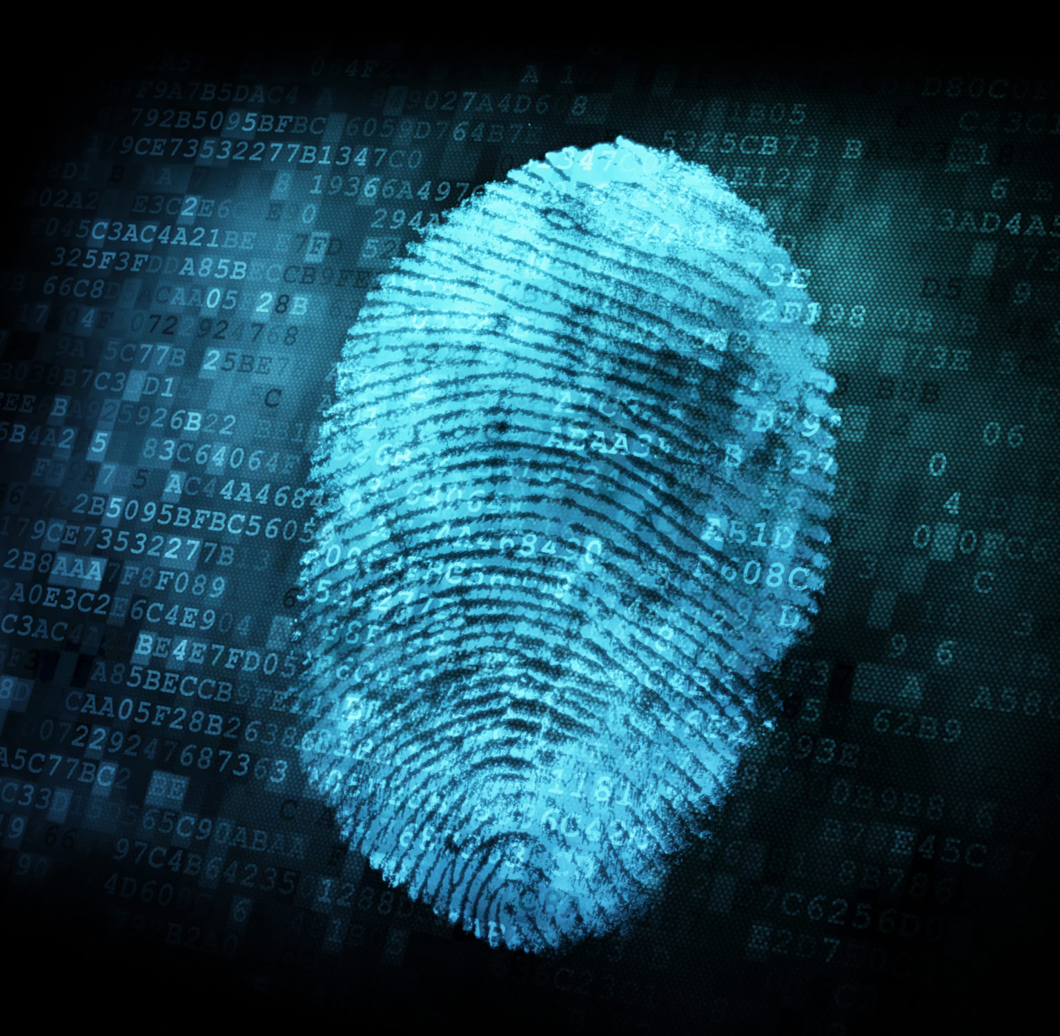 Career Areas - Constellis